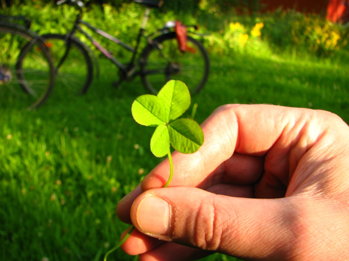 Network Marketing – MLM-Training.com